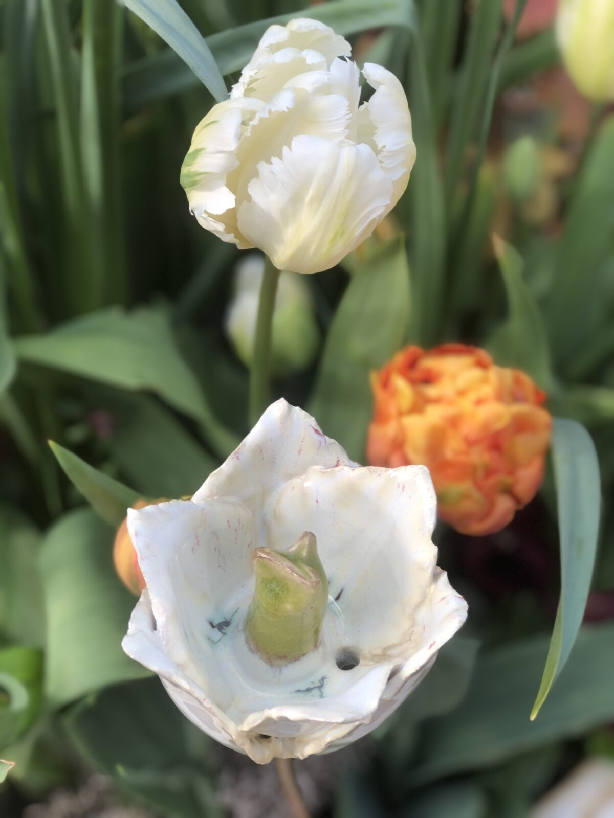 Ceramic Tulip - Ceramics buy Anja